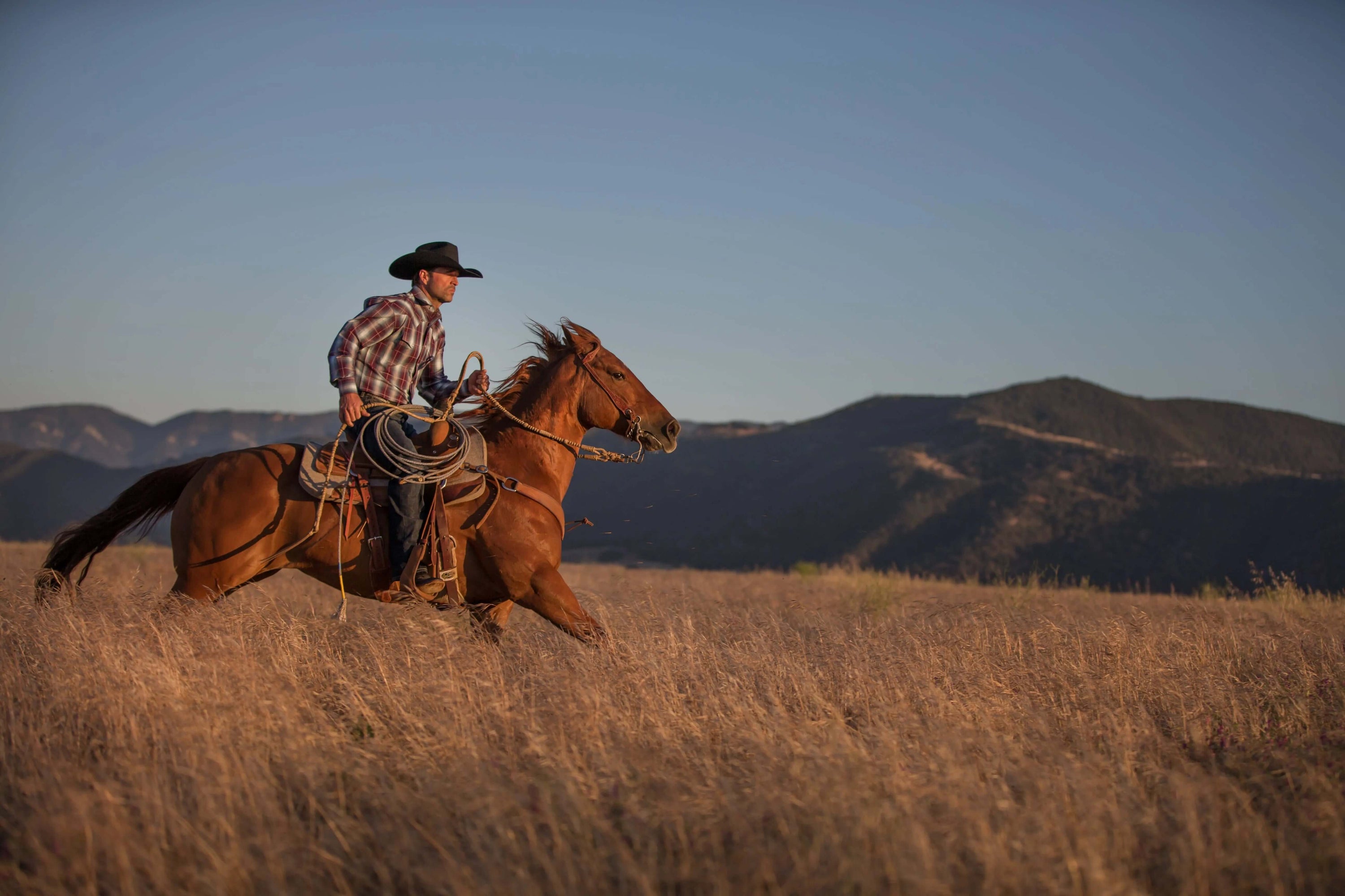 Dobbs Hats | FREE Ship on orders over $99 – HatCountry